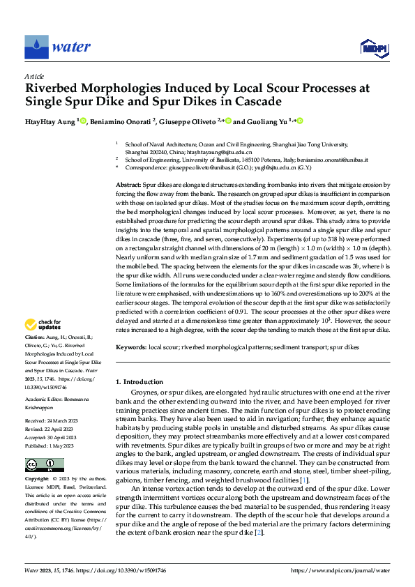 (PDF) Riverbed Morphologies Induced by Local Scour Processes at Single ...