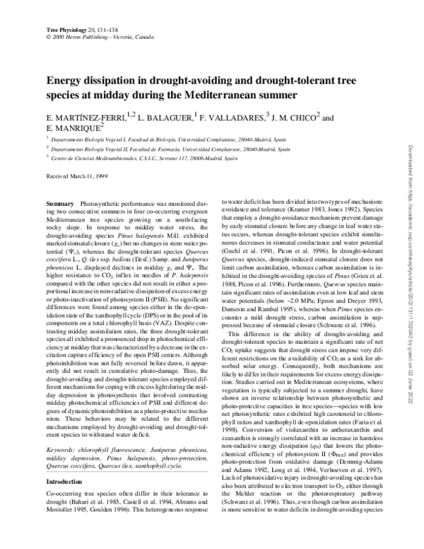 (PDF) Energy dissipation in drought-avoiding and drought-tolerant tree ...