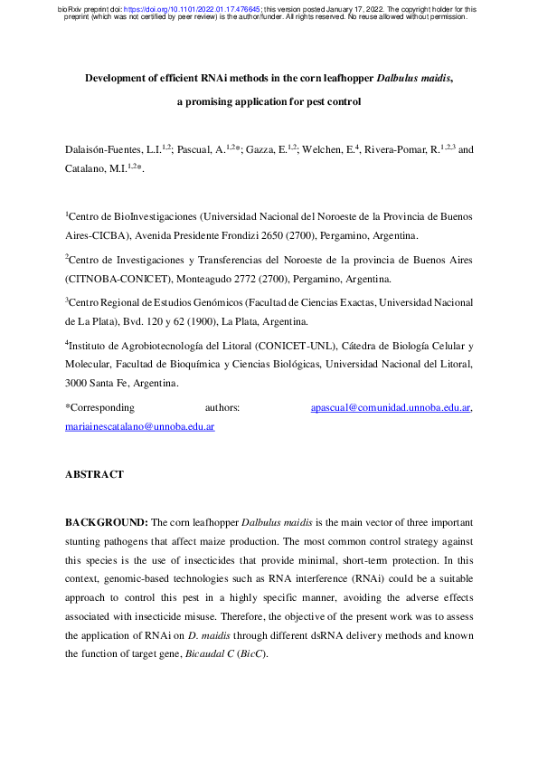 (PDF) Development of efficient RNAi methods in the corn leafhopper ...
