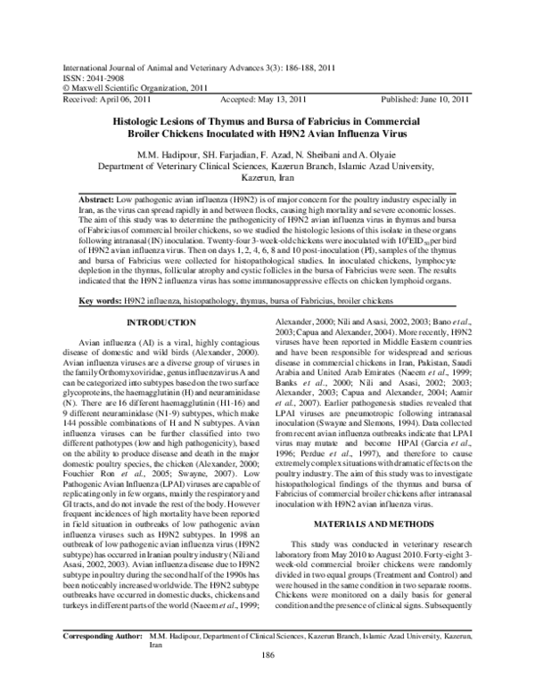(PDF) Histologic Lesions of Thymus and Bursa of Fabricius in Commercial ...