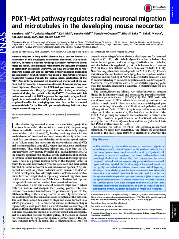 (PDF) PDK1-Akt Signaling in Neuronal Migration