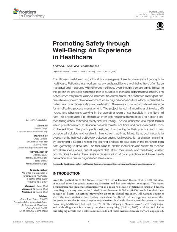 (PDF) Promoting Safety through Well-Being: An Experience in Healthcare