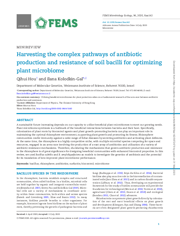 (PDF) Harvesting the complex pathways of antibiotic production and resistance of soil bacilli ...