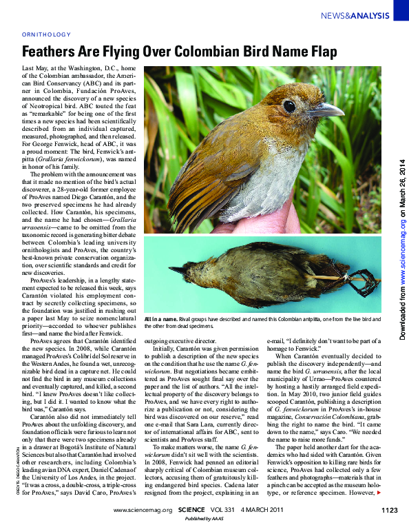 (PDF) Feathers Are Flying Over Colombian Bird Name Flap
