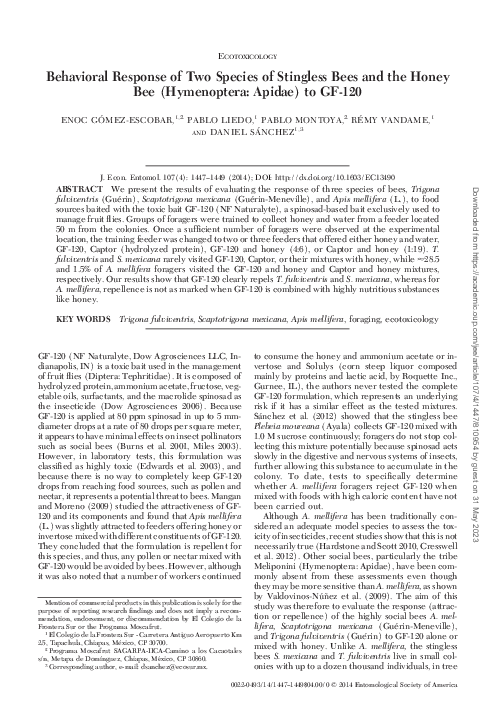(PDF) Behavioral Response of Two Species of Stingless Bees and the ...