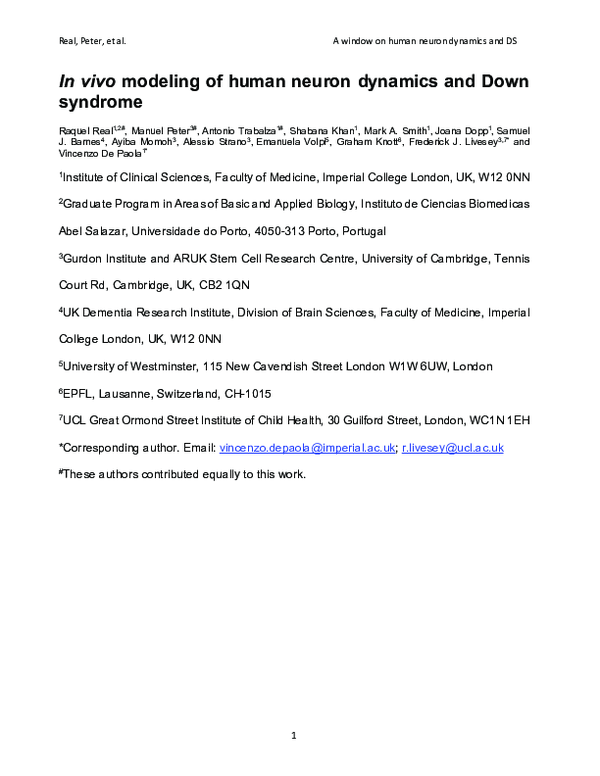 (PDF) In vivo modeling of human neuron dynamics and Down syndrome