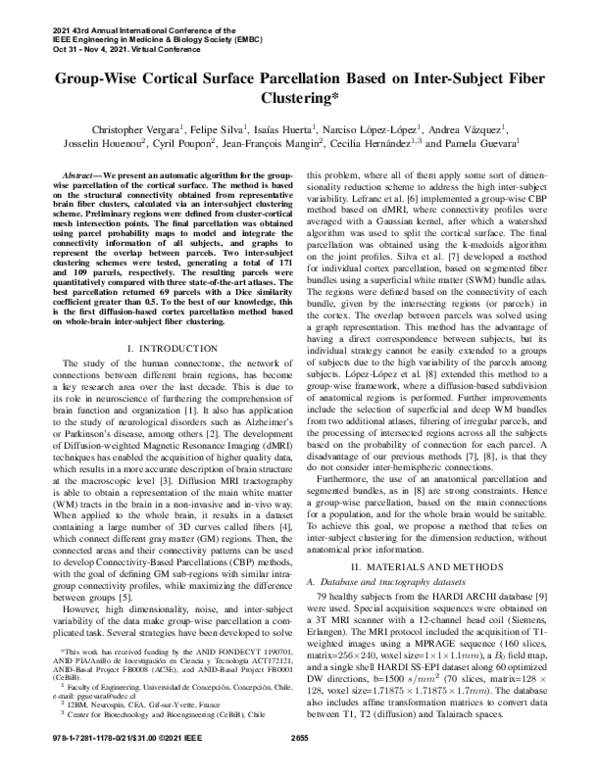(PDF) Group-Wise Cortical Surface Parcellation Based on Inter-Subject Fiber Clustering