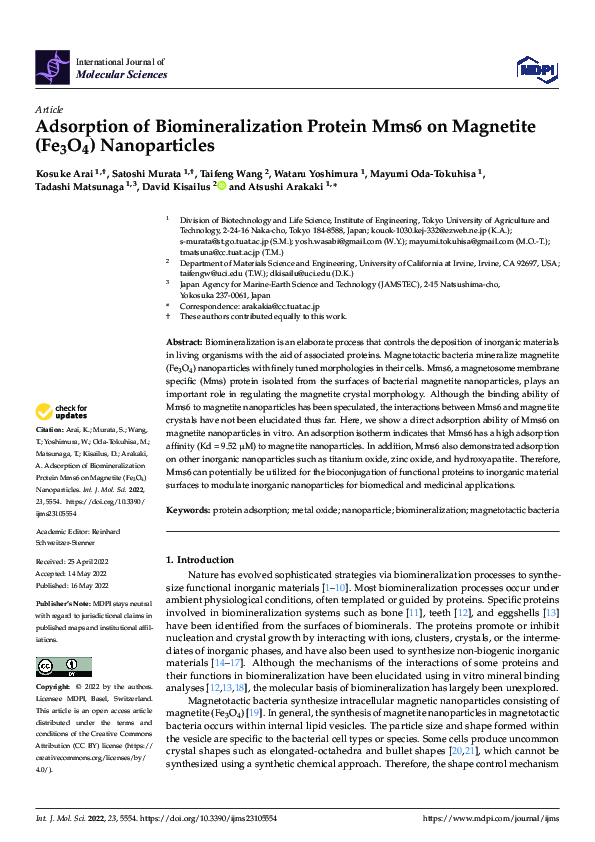 (PDF) Adsorption of Biomineralization Protein Mms6 on Magnetite (Fe3O4 ...