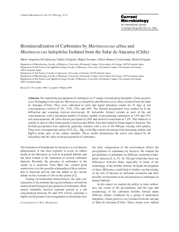 (PDF) Biomineralization of Carbonates by Marinococcus albus and ...