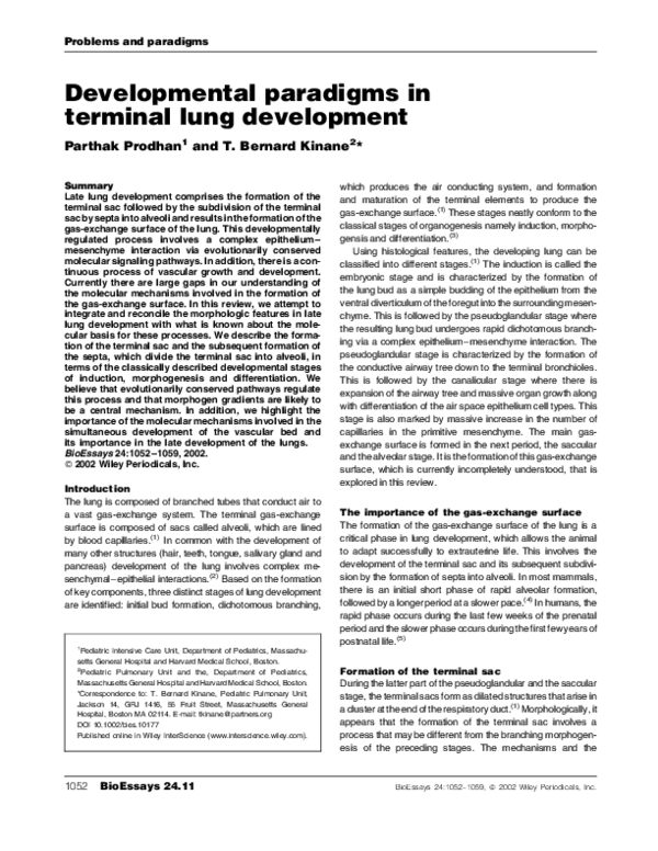 (PDF) Developmental paradigms in terminal lung development