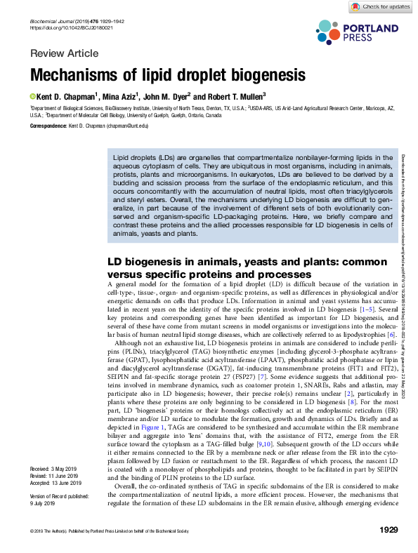 (PDF) Mechanisms of lipid droplet biogenesis
