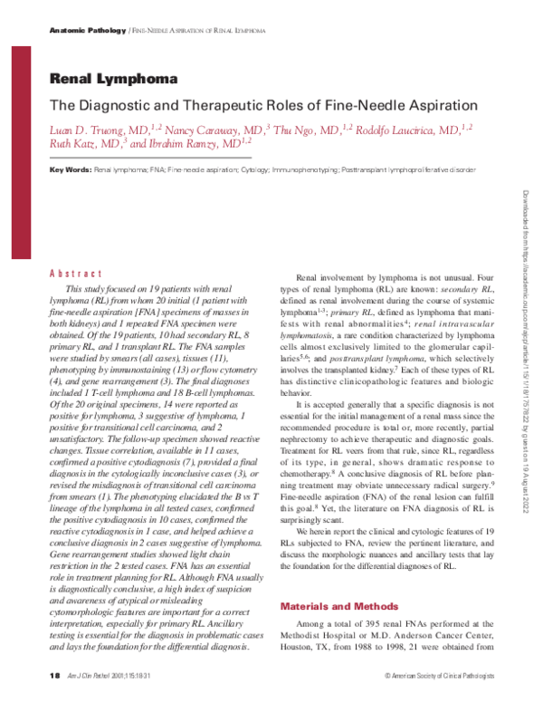 (PDF) Renal Lymphoma