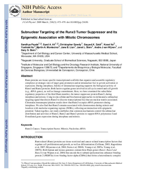 (PDF) Subnuclear targeting of the Runx3 tumor suppressor and its epigenetic association with ...
