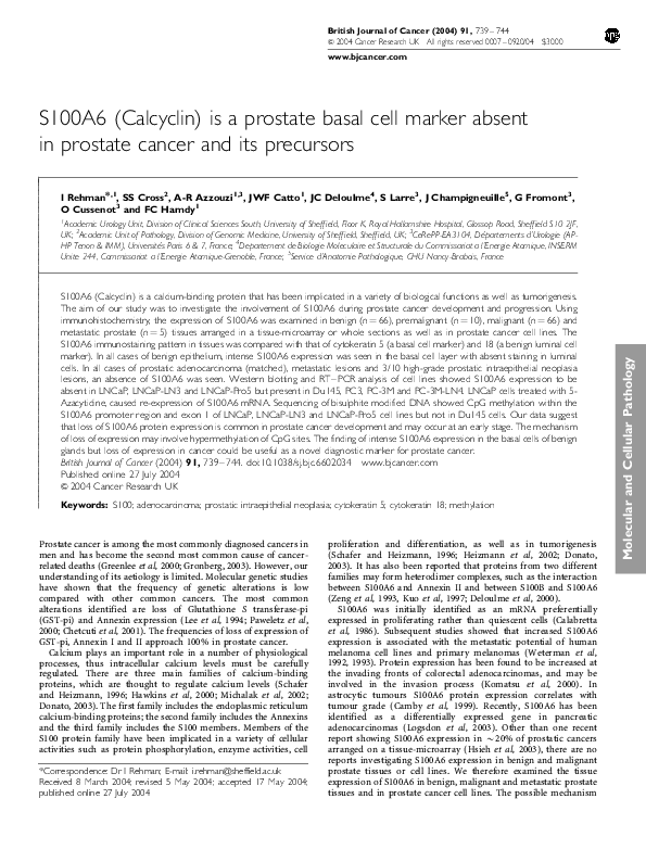 (PDF) S100A6 (Calcyclin) is a prostate basal cell marker absent in prostate cancer and its ...