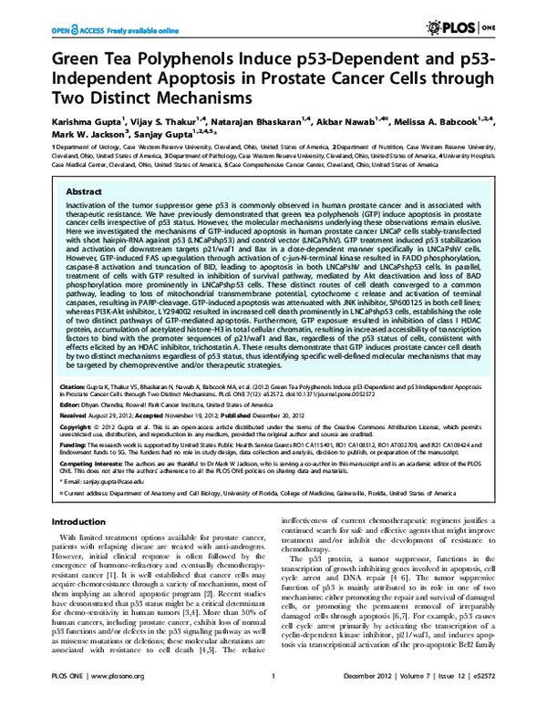 (PDF) Green Tea Polyphenols Induce p53-Dependent and p53-Independent ...