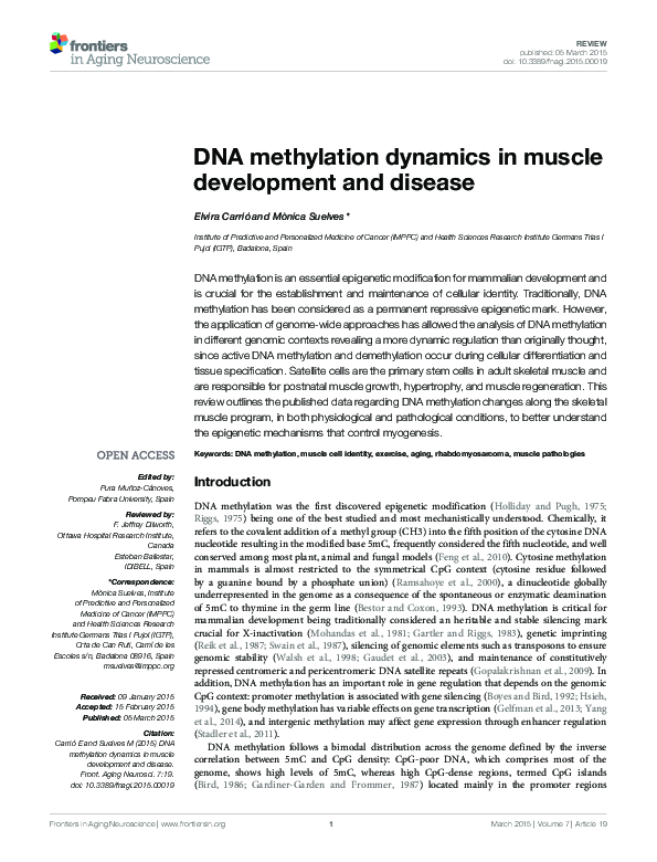 (PDF) DNA methylation dynamics in muscle development and disease