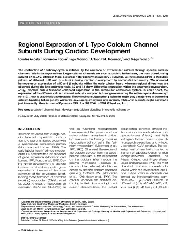 (PDF) Regional expression of L-type calcium channel subunits during ...