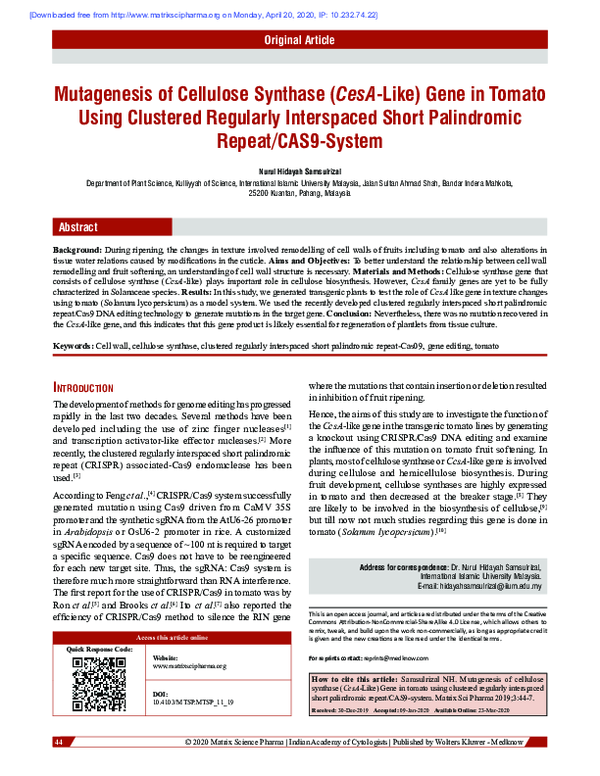 (PDF) Mutagenesis of cellulose synthase (CesA-Like) Gene in tomato using clustered regularly ...