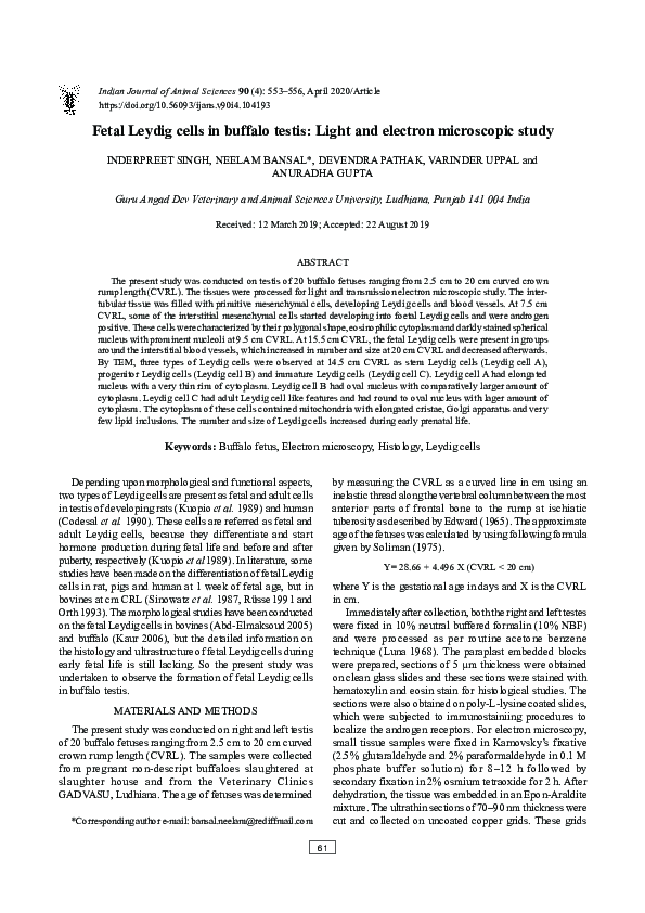 (PDF) Fetal Leydig cells in buffalo testis: Light and electron ...