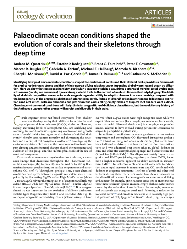 (PDF) Palaeoclimate ocean conditions shaped the evolution of corals and ...