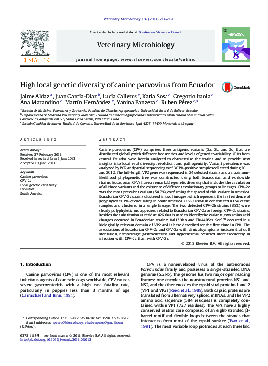 (PDF) High local genetic diversity of canine parvovirus from Ecuador