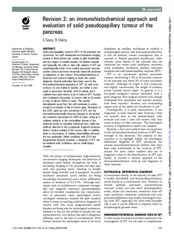 (PDF) Revision 2: an immunohistochemical approach and evaluation of ...
