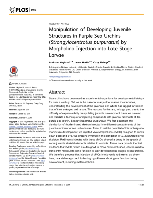 (PDF) Manipulation of developing juvenile structures in purple sea ...