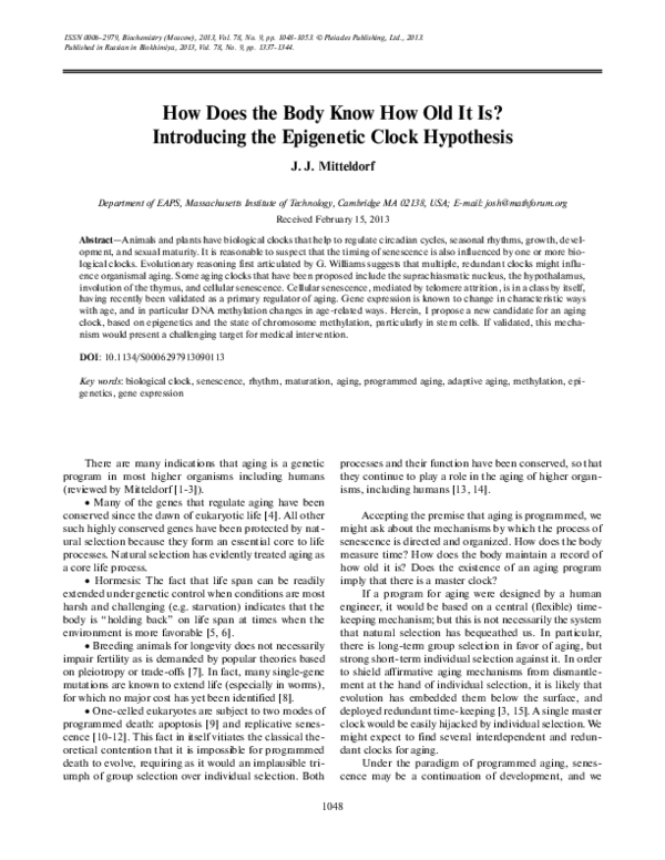 (PDF) How does the body know how old it is? Introducing the epigenetic ...