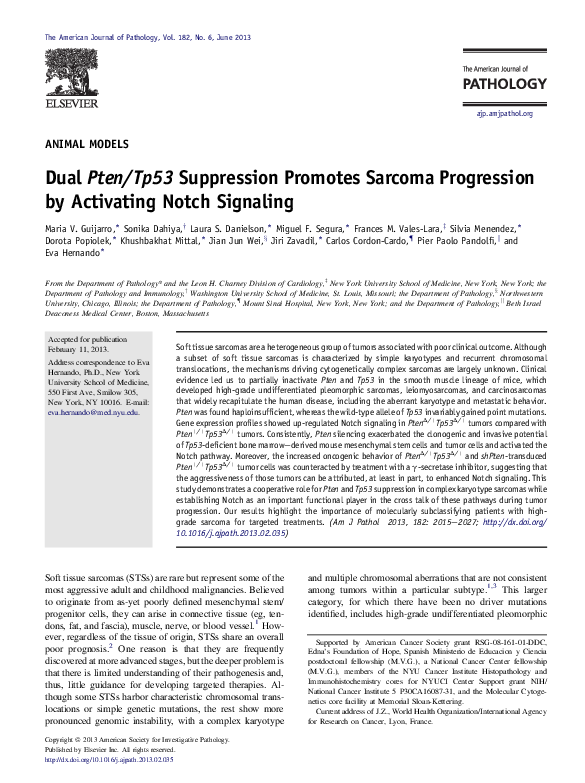 (PDF) Dual Pten/Tp53 Suppression Promotes Sarcoma Progression by ...