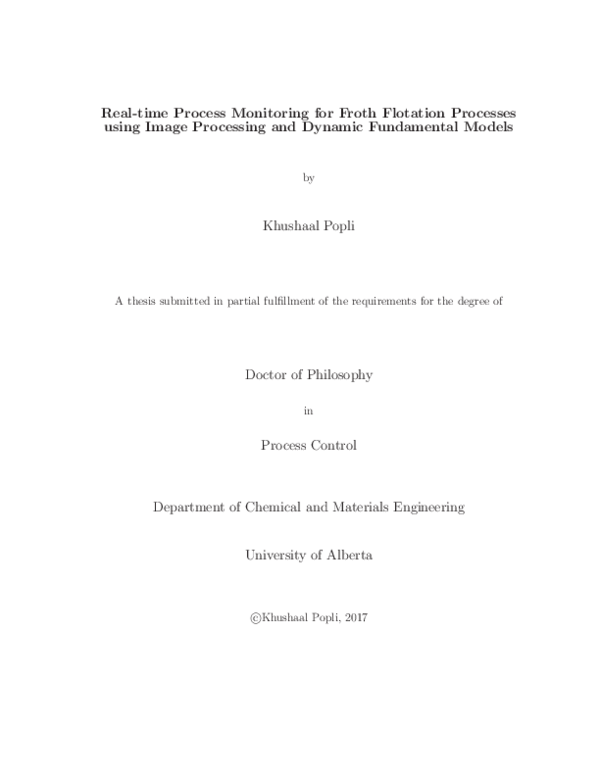 (PDF) Real-time Process Monitoring for Froth Flotation Processes using Image Processing and ...