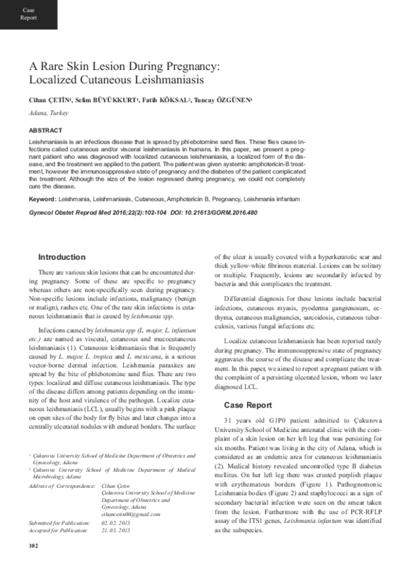 (PDF) A Rare Skin Lesion During Pregnancy: Localized Cutaneous ...