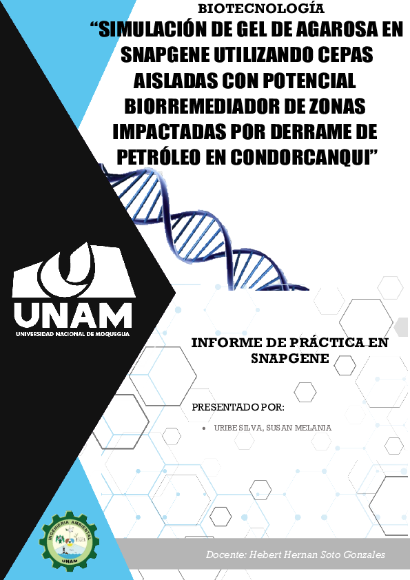 (PDF) SIMULACION DE GEL DE AGAROSA EN SNAPGENE | Melania U - Academia.edu