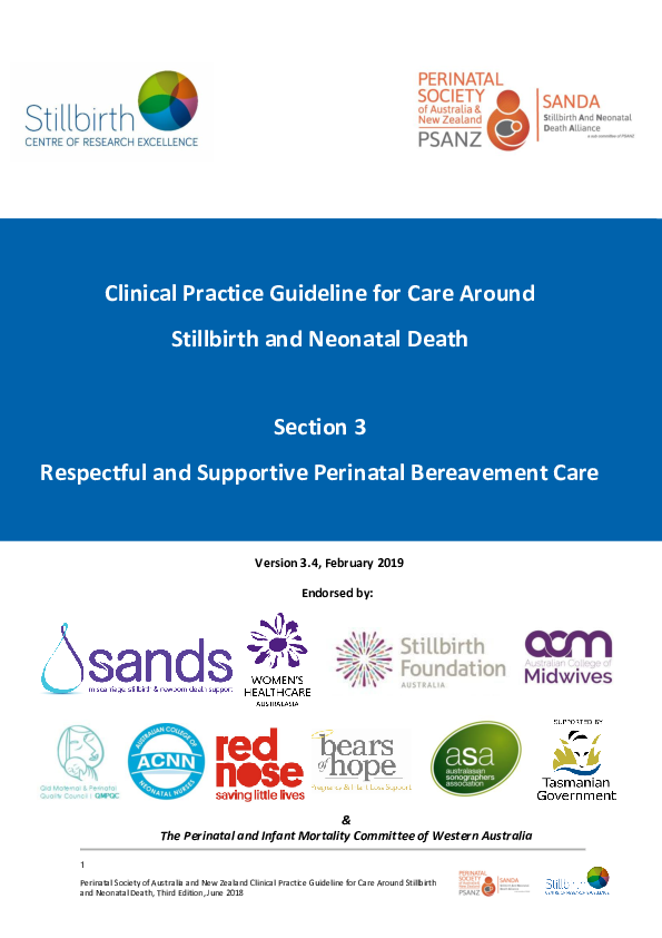 (PDF) Clinical practice guideline for care around stillbirth and ...