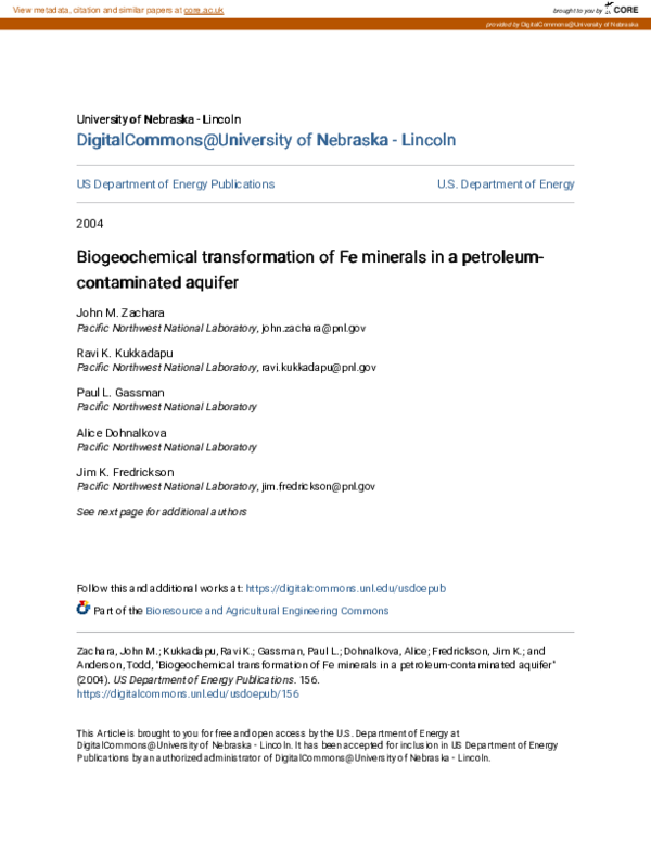 (PDF) Biogeochemical transformation of Fe minerals in a petroleum ...