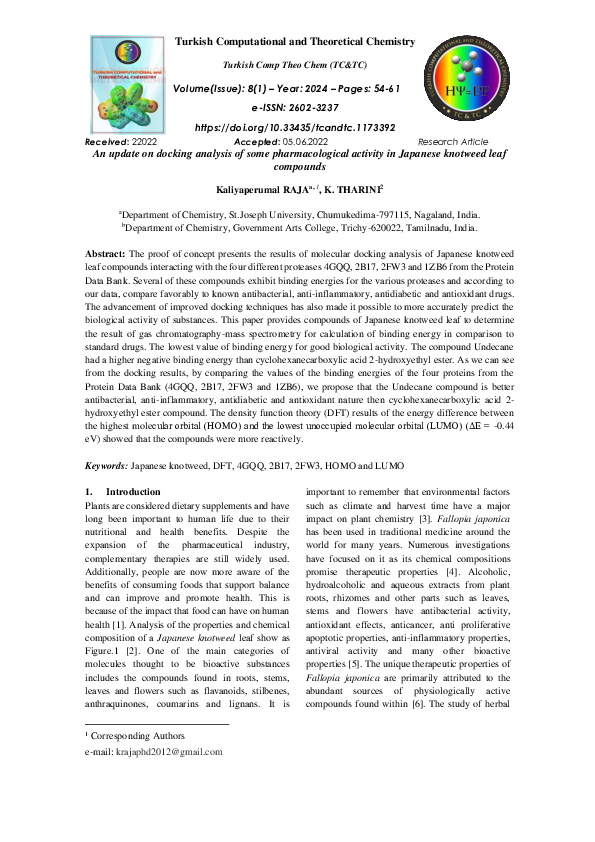 (PDF) Turkish Computational and Theoretical Chemistry