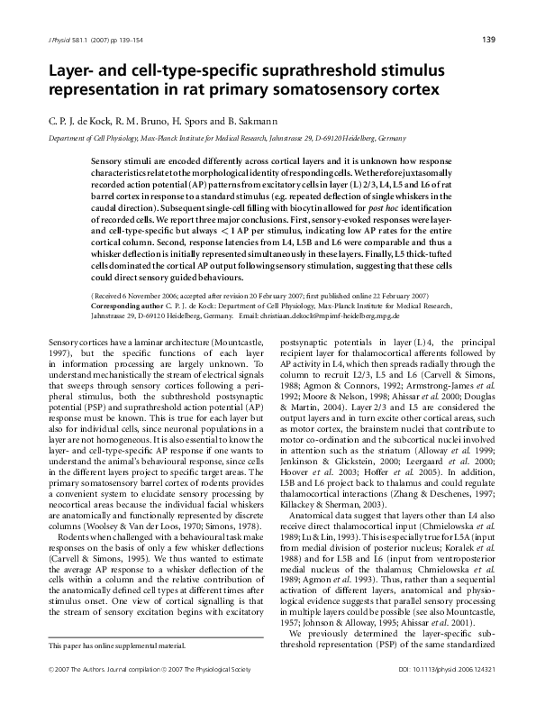 (PDF) Layer- and cell-type-specific suprathreshold stimulus ...