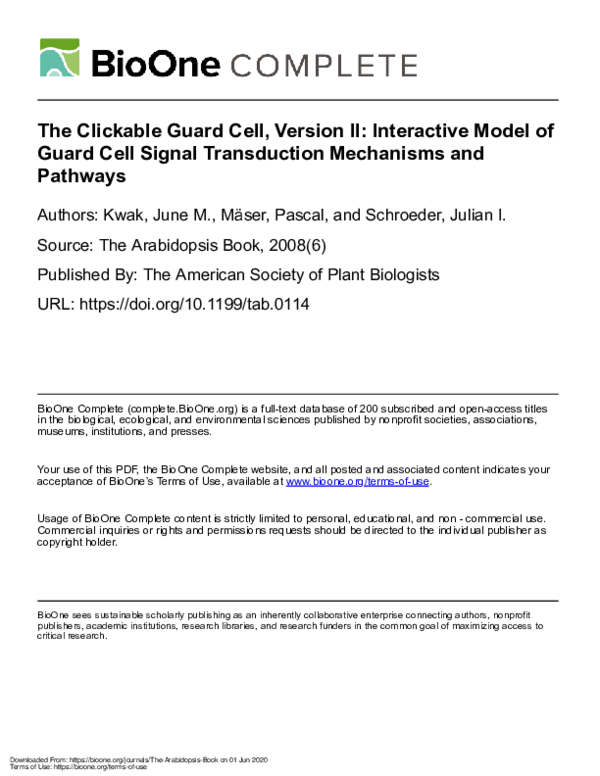 (PDF) The Clickable Guard Cell: Electronically Linked Model of Guard ...