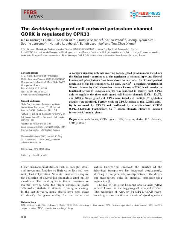(PDF) TheArabidopsisguard cell outward potassium channel GORK is ...