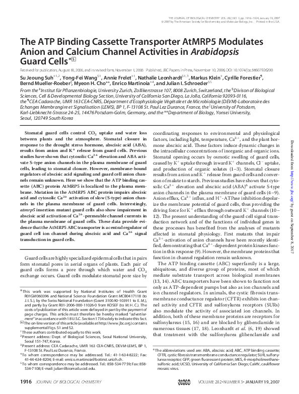 (PDF) The ATP Binding Cassette Transporter AtMRP5 Modulates Anion and ...