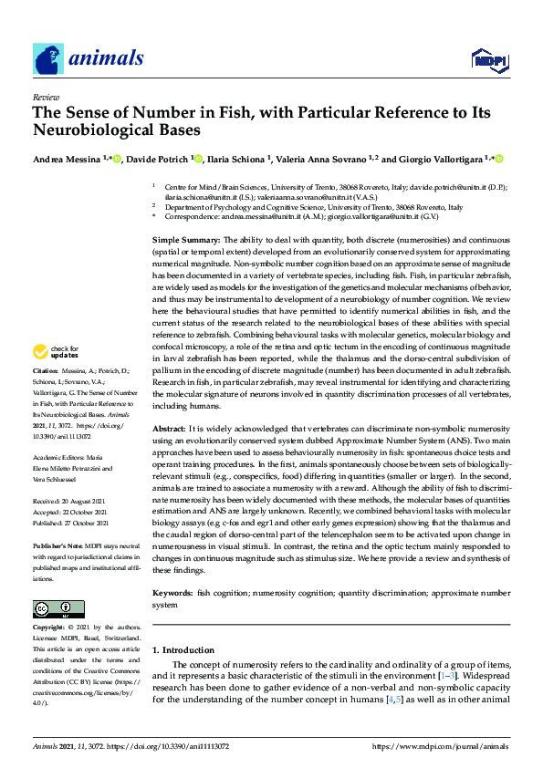 (PDF) The Sense of Number in Fish, with Particular Reference to Its ...