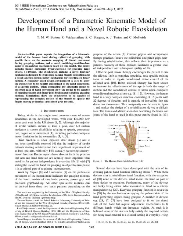 (PDF) Development of a parametric kinematic model of the human hand and ...
