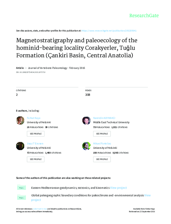 (PDF) Magnetostratigraphy and paleoecology of the hominid-bearing ...