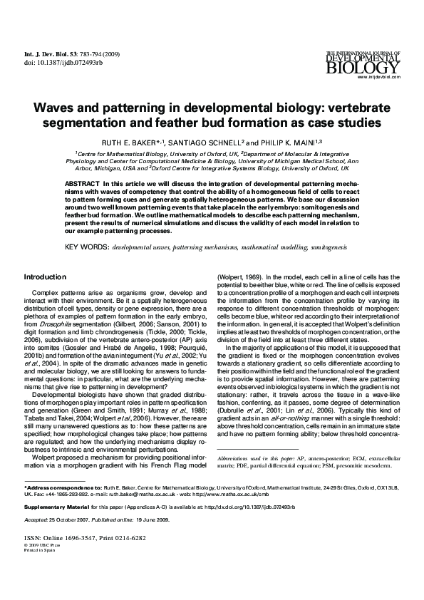 (PDF) Waves and patterning in developmental biology: vertebrate ...