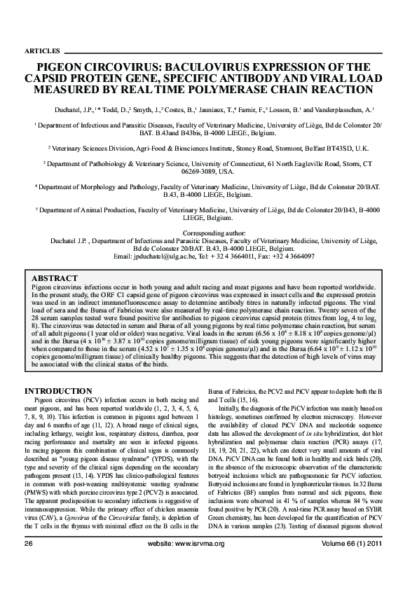 (PDF) Pigeon Circovirus Capsid Protein Expression and Viral Load Analysis