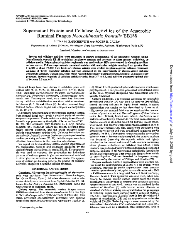 (PDF) Supernatant protein and cellulase activities of the anaerobic ...