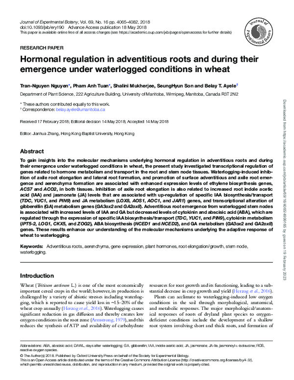 (PDF) Hormonal regulation in adventitious roots and during their emergence under waterlogged ...