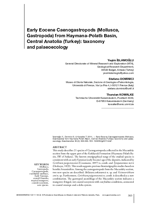 (PDF) Early Eocene Caenogastropods (Mollusca, Gastropoda) from Haymana ...