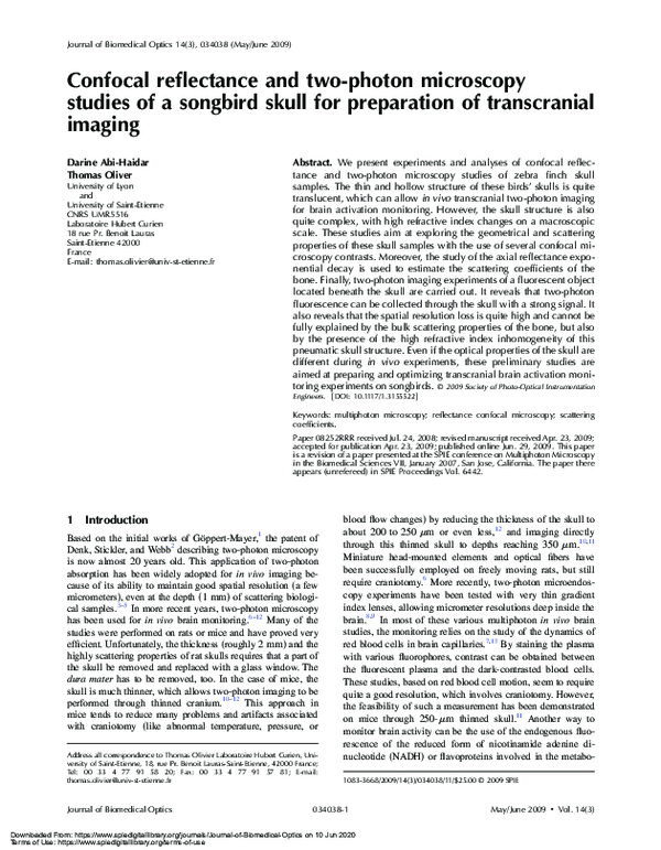 (PDF) Confocal reflectance and two-photon microscopy studies of a ...