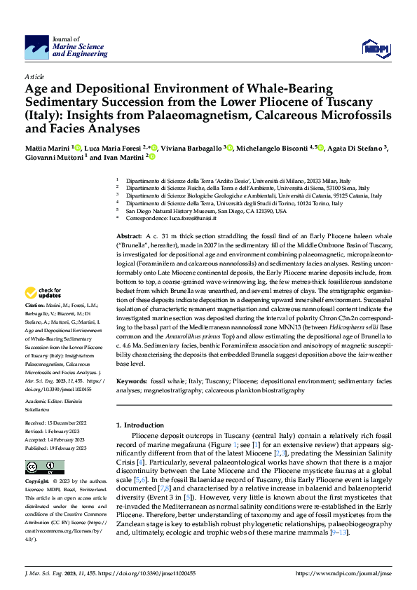 (PDF) Age and Depositional Environment of Whale-Bearing Sedimentary ...