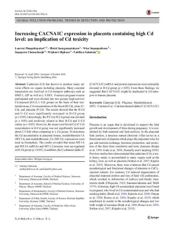 (PDF) Increasing CACNA1C expression in placenta containing high Cd ...